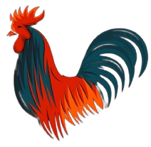 Shop – Brazil Prime Chicken